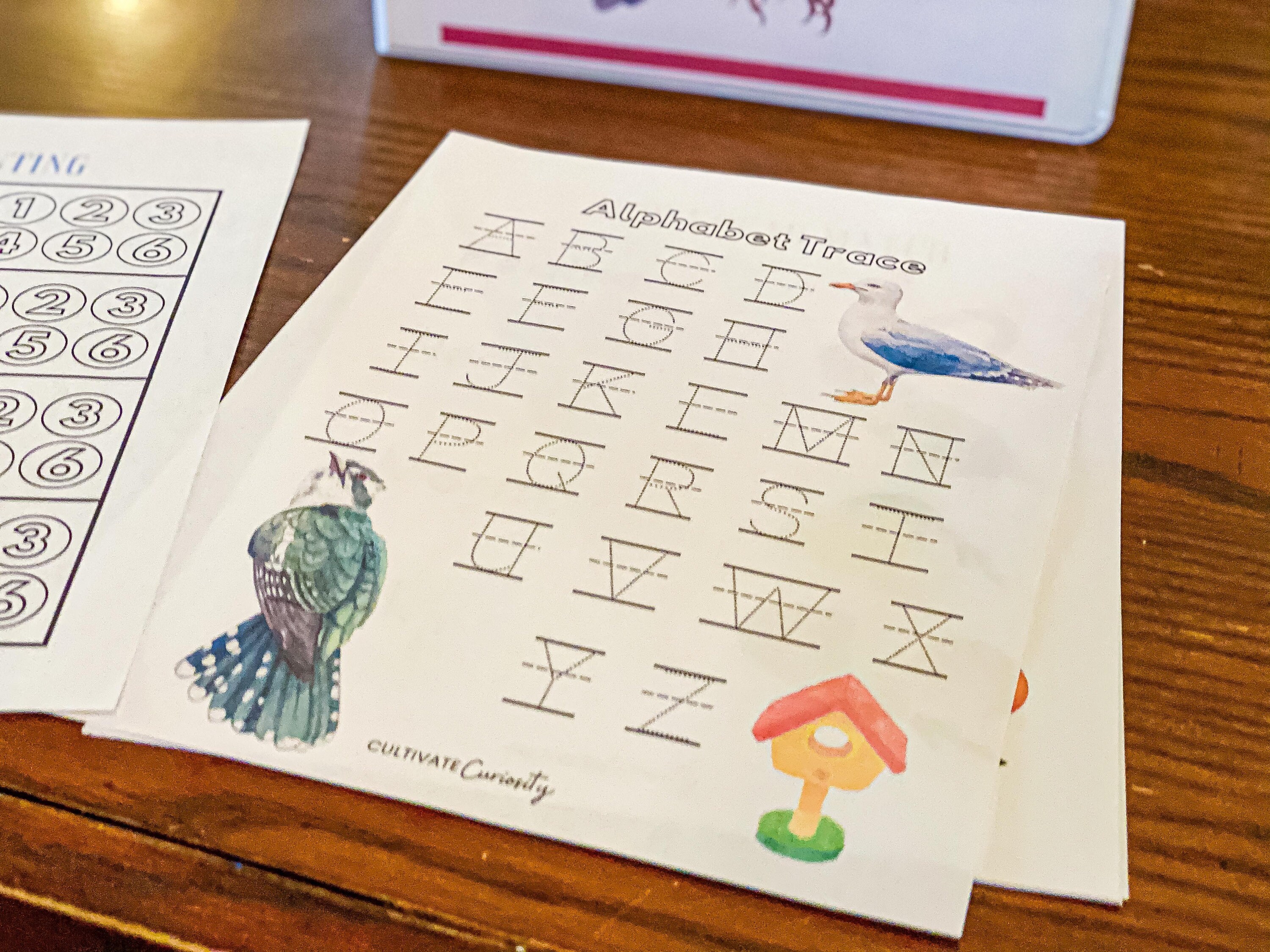 Bird Pre-k Workbook Homeschool Printable Bundle Pack of Bird Worksheets ...