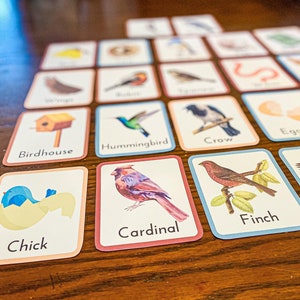 Bird Flashcards for Preschoolers | Bird Theme Pre-k Homeschool Unit ...