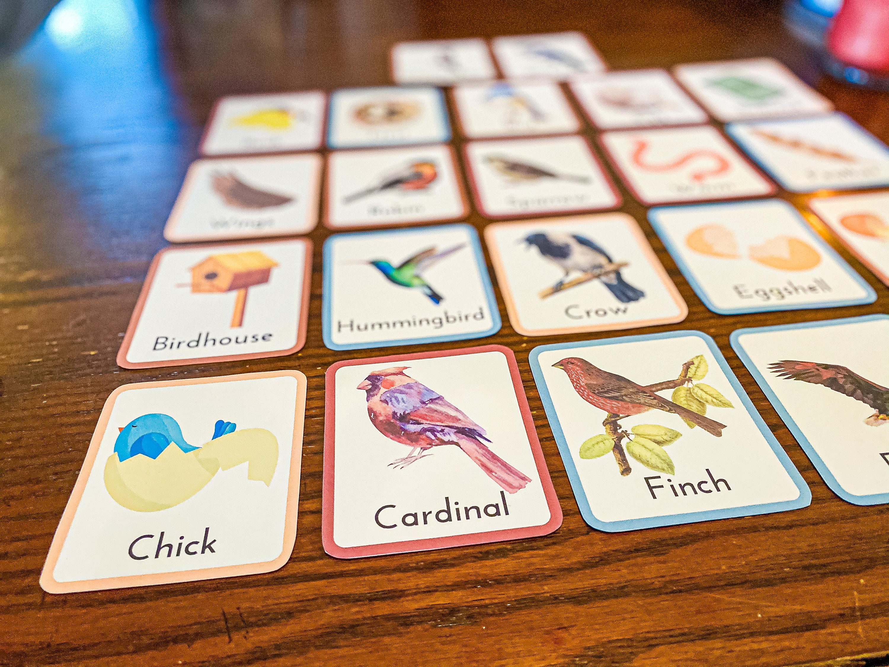 Bird Flashcards for Preschoolers | Bird Theme Pre-k Homeschool Unit ...