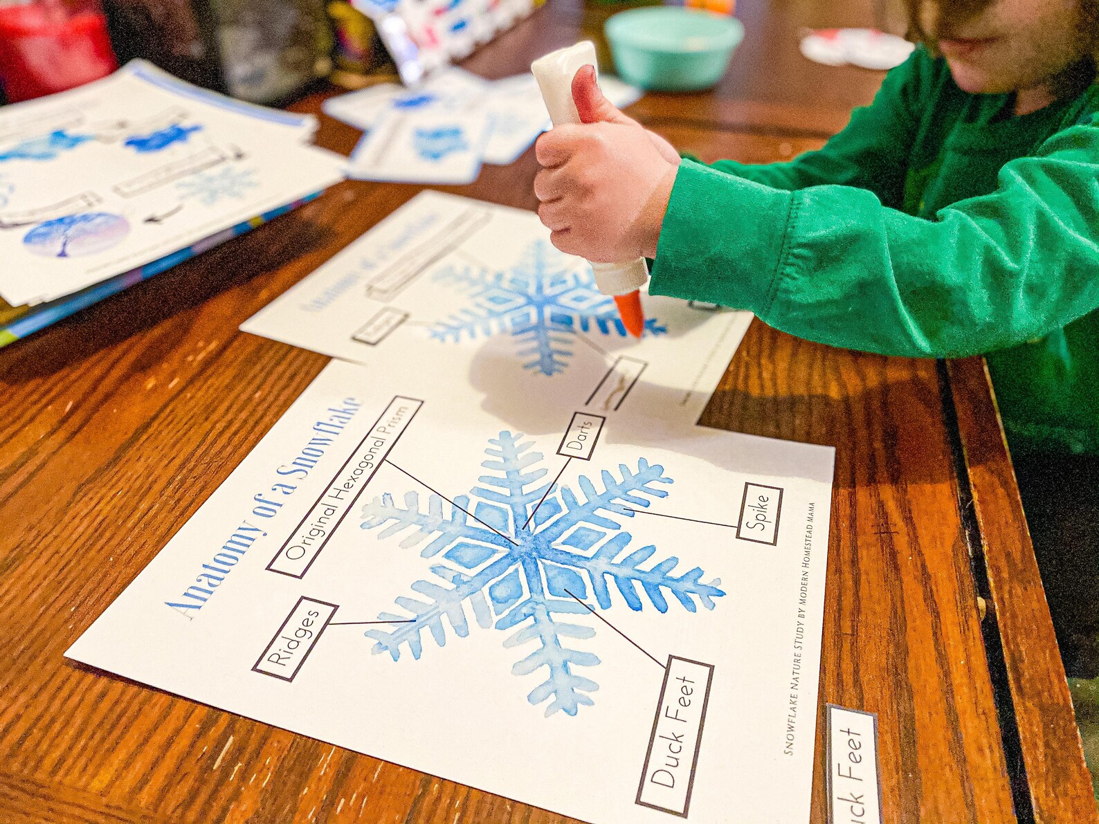 Anatomy of a Snowflake | Mini Snowflake Winter Homeschool Study for Pre ...