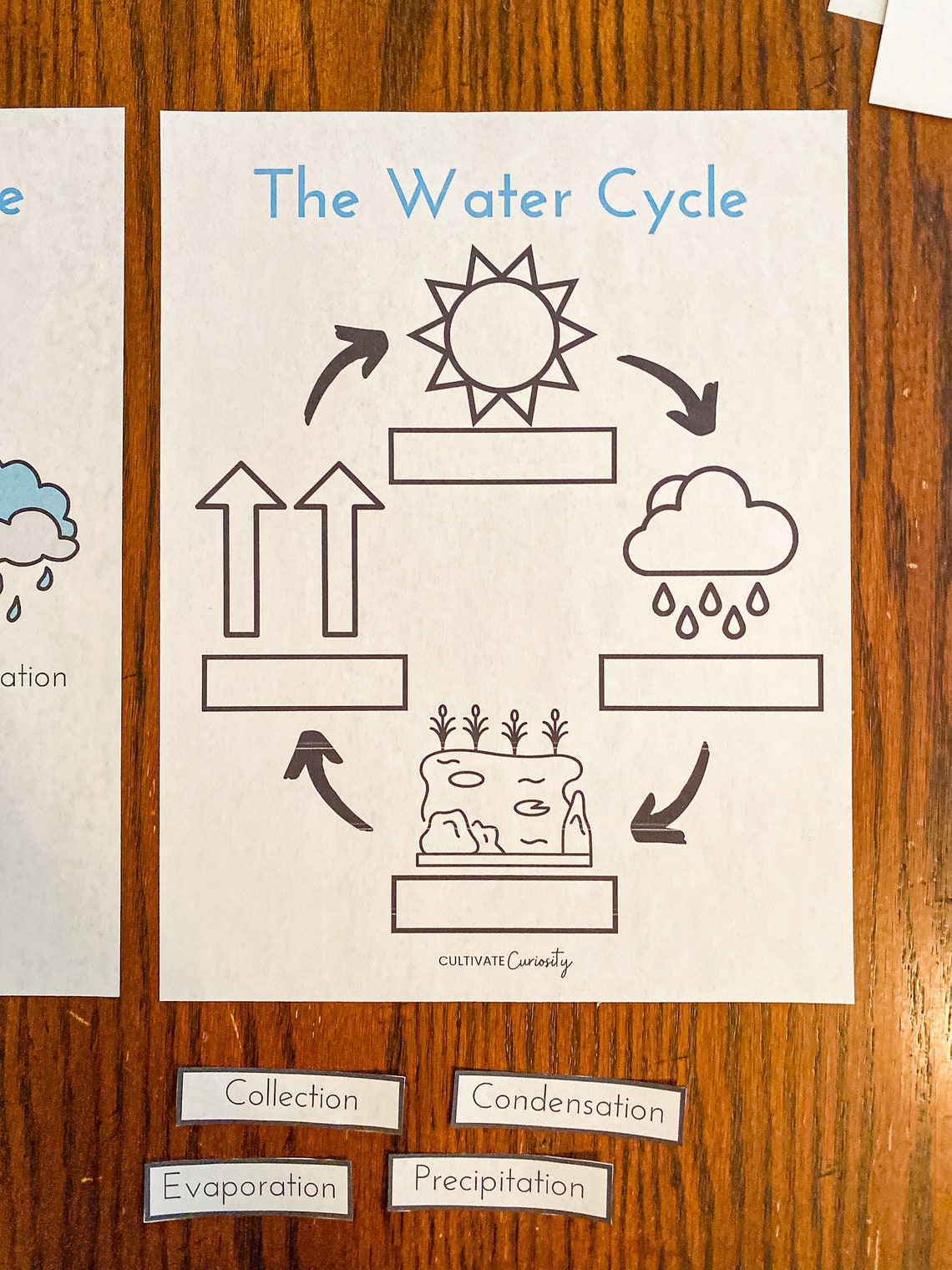 Water Cycle Worksheet Set Homeschool Printable Science Worksheet for ...