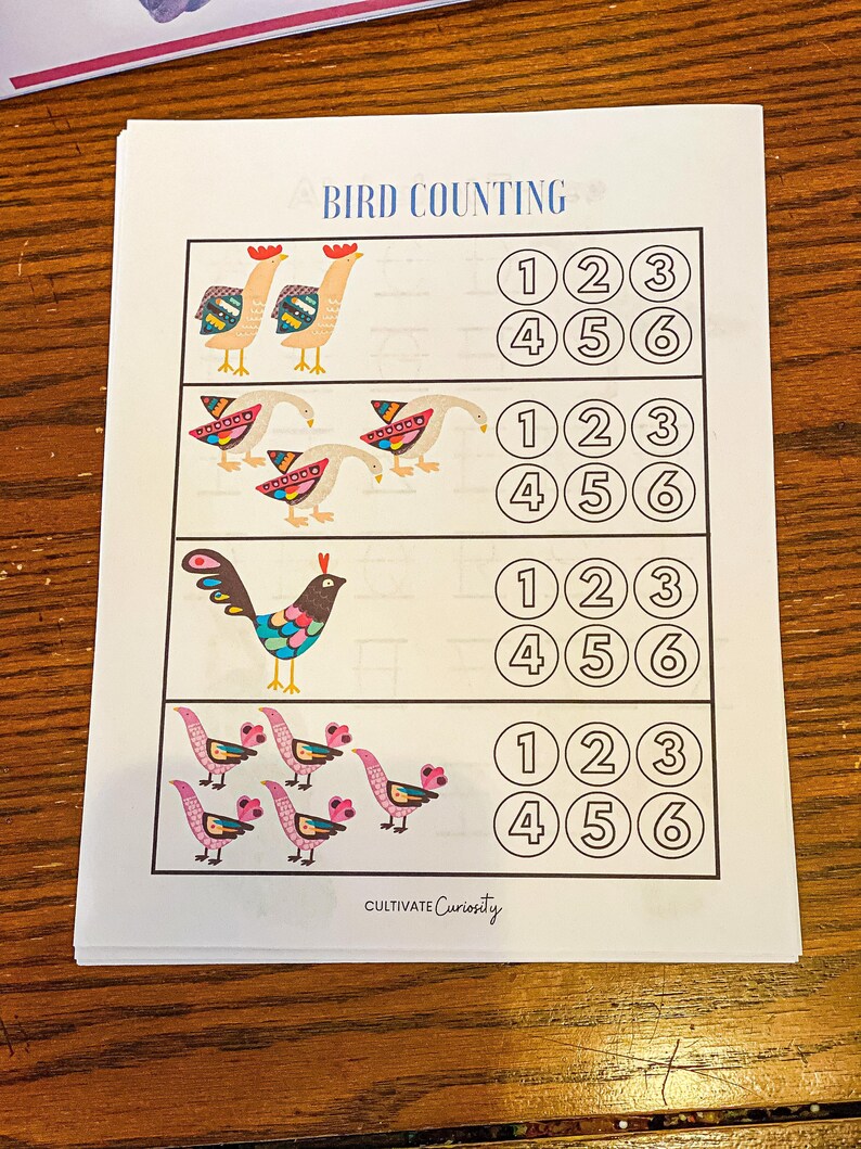 Bird Pre-k Workbook | Homeschool Printable Bundle Pack of Bird ...