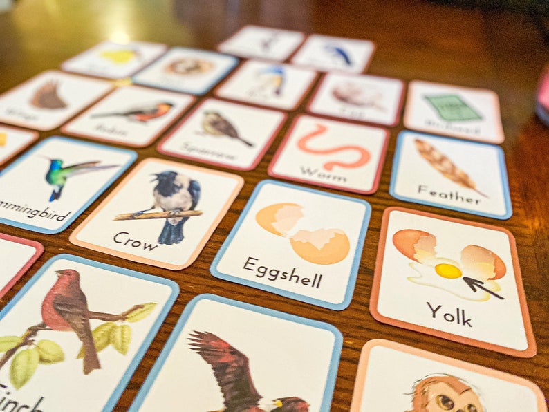 Bird Flashcards for Preschoolers | Bird Theme Pre-k Homeschool Unit ...