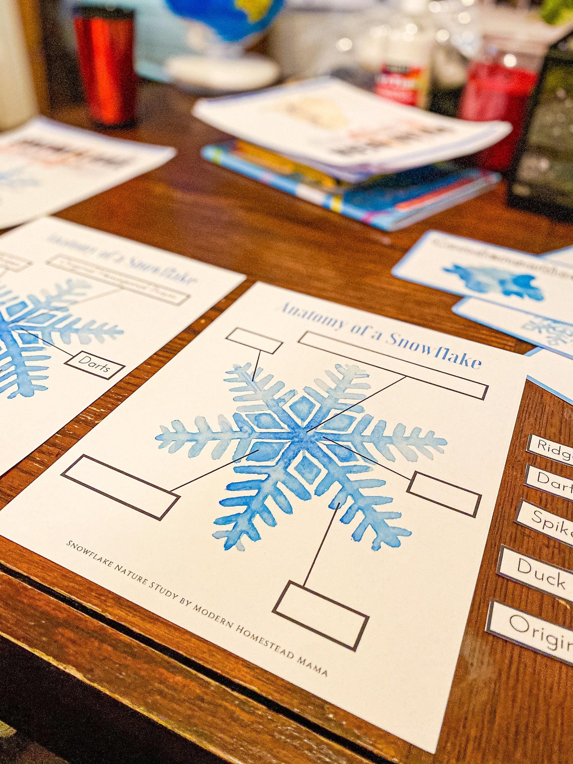 Anatomy of a Snowflake | Mini Snowflake Winter Homeschool Study for Pre ...