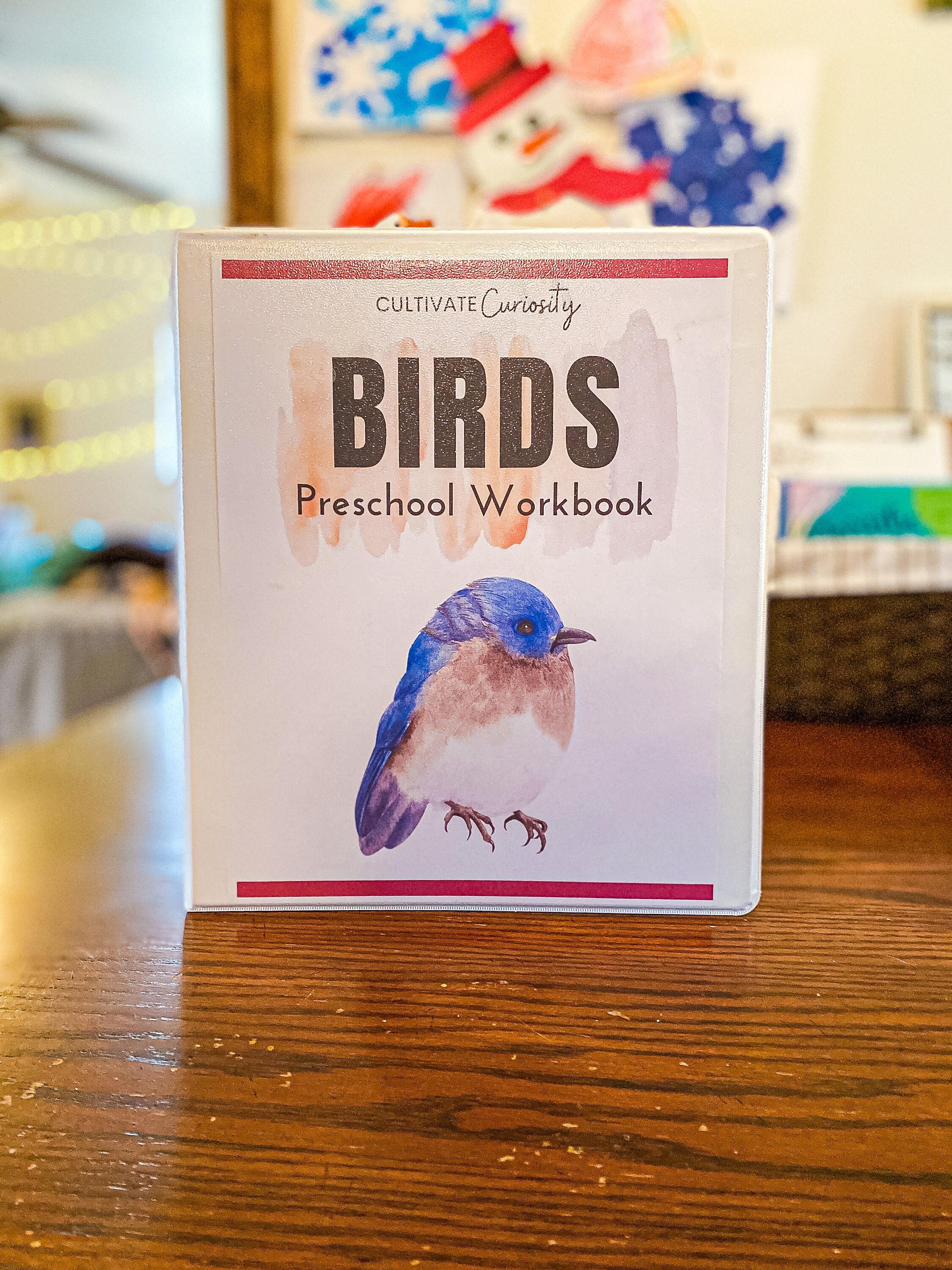 Bird Pre-k Workbook | Homeschool Printable Bundle Pack of Bird ...