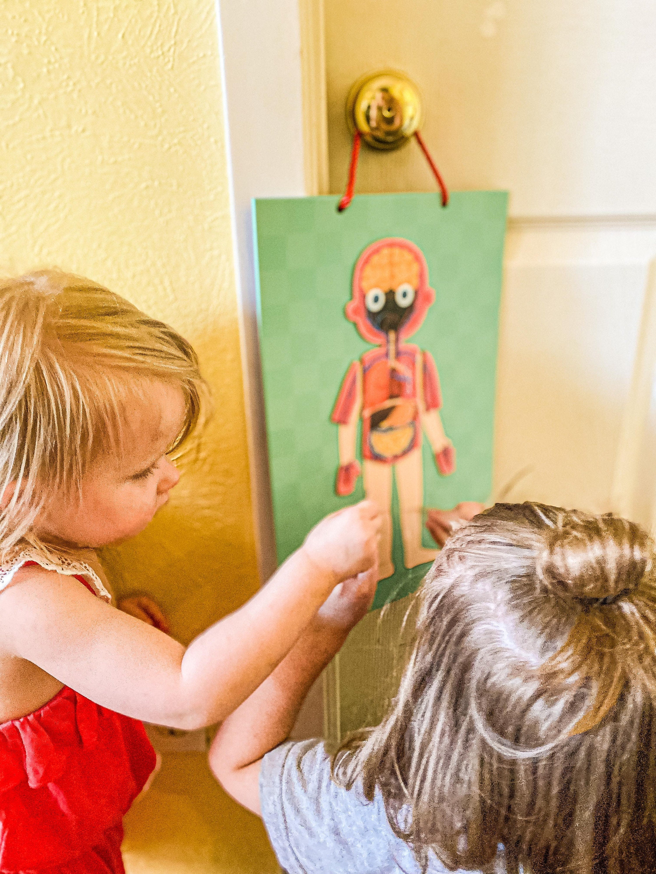 Human Body Preschool Unit Montessori & Waldorf Inspired - Etsy UK