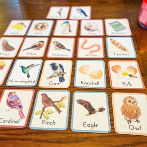 Bird Flashcards for Preschoolers | Bird Theme Pre-k Homeschool Unit ...