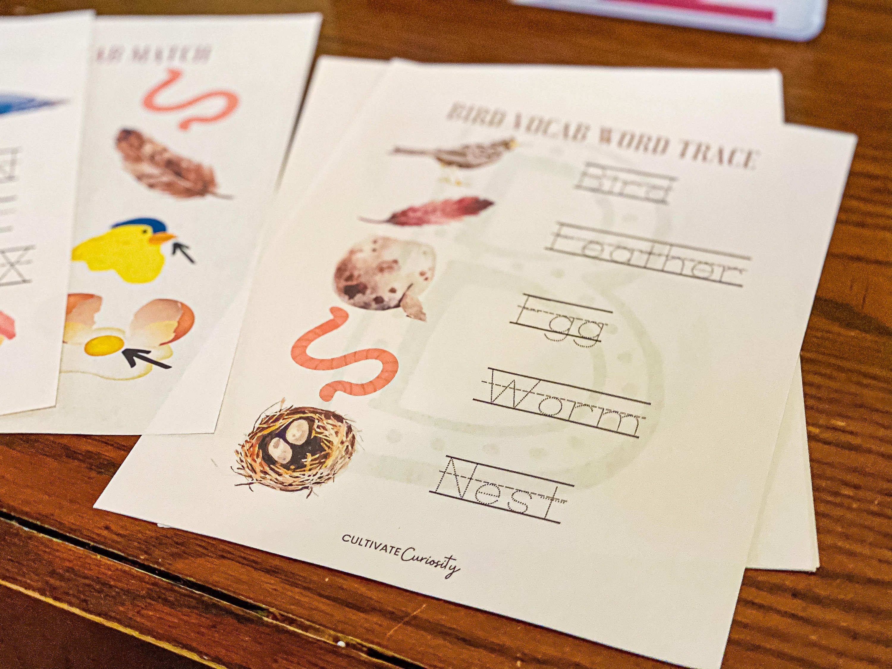 Bird Pre-k Workbook | Homeschool Printable Bundle Pack of Bird ...