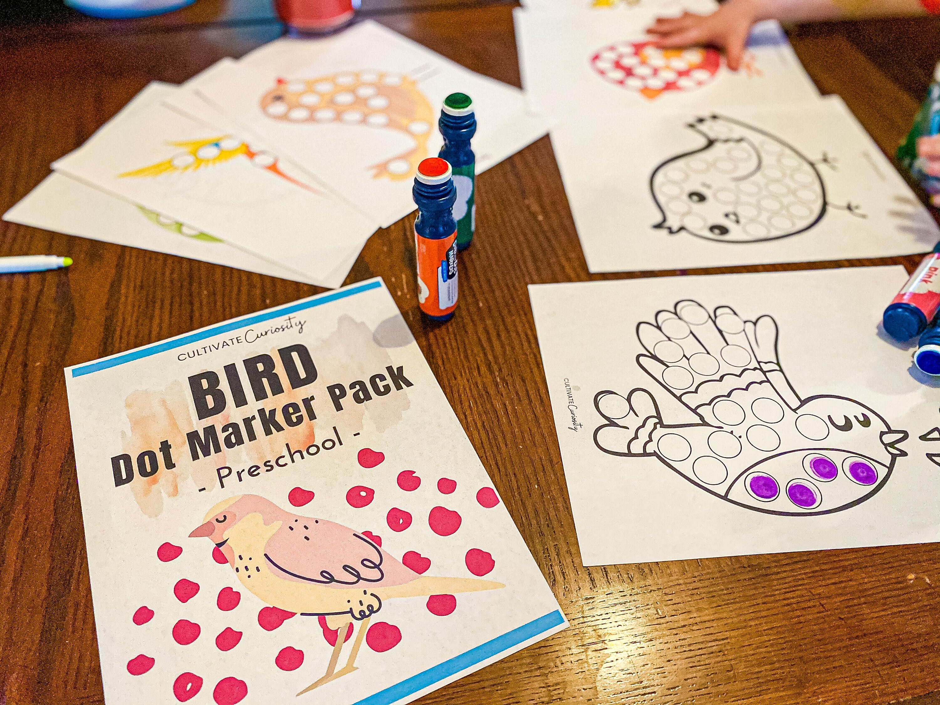 Bird Dot Marker Pack Printable Bird Theme Homeschool Packet for ...
