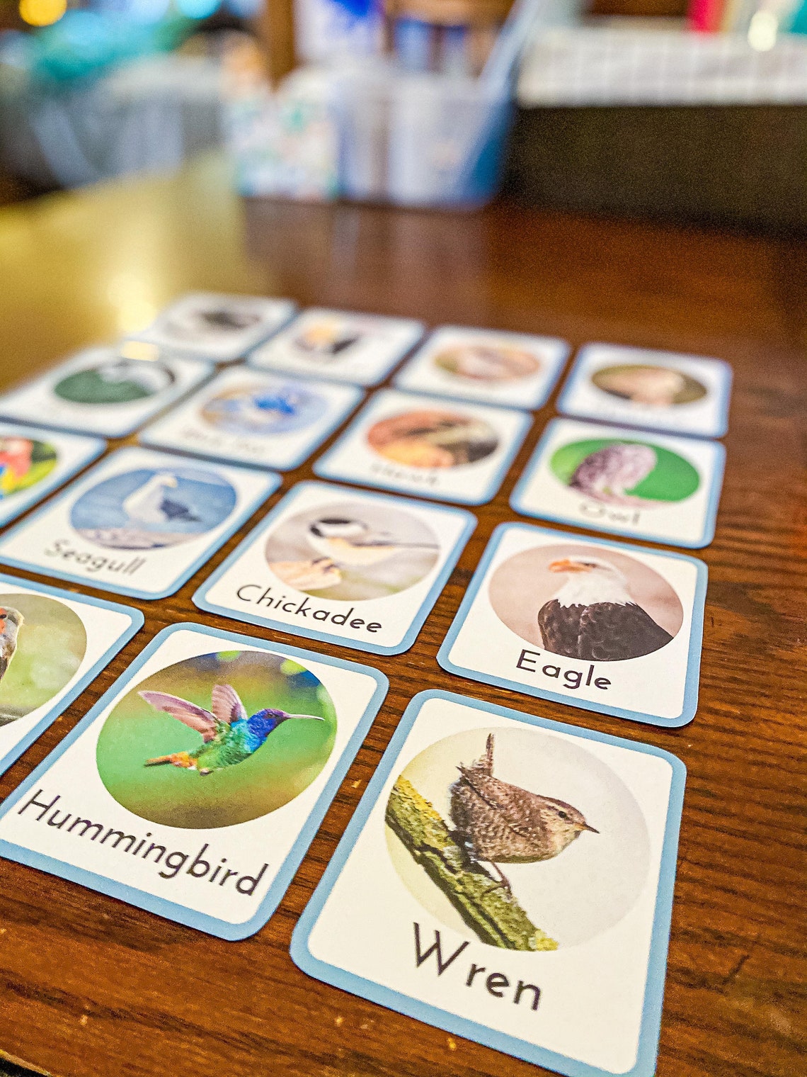 Realistic Montessori Bird Flashcards for Toddlers and | Etsy