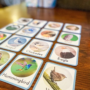 Realistic Montessori Bird Flashcards for Toddlers and Preschoolers ...