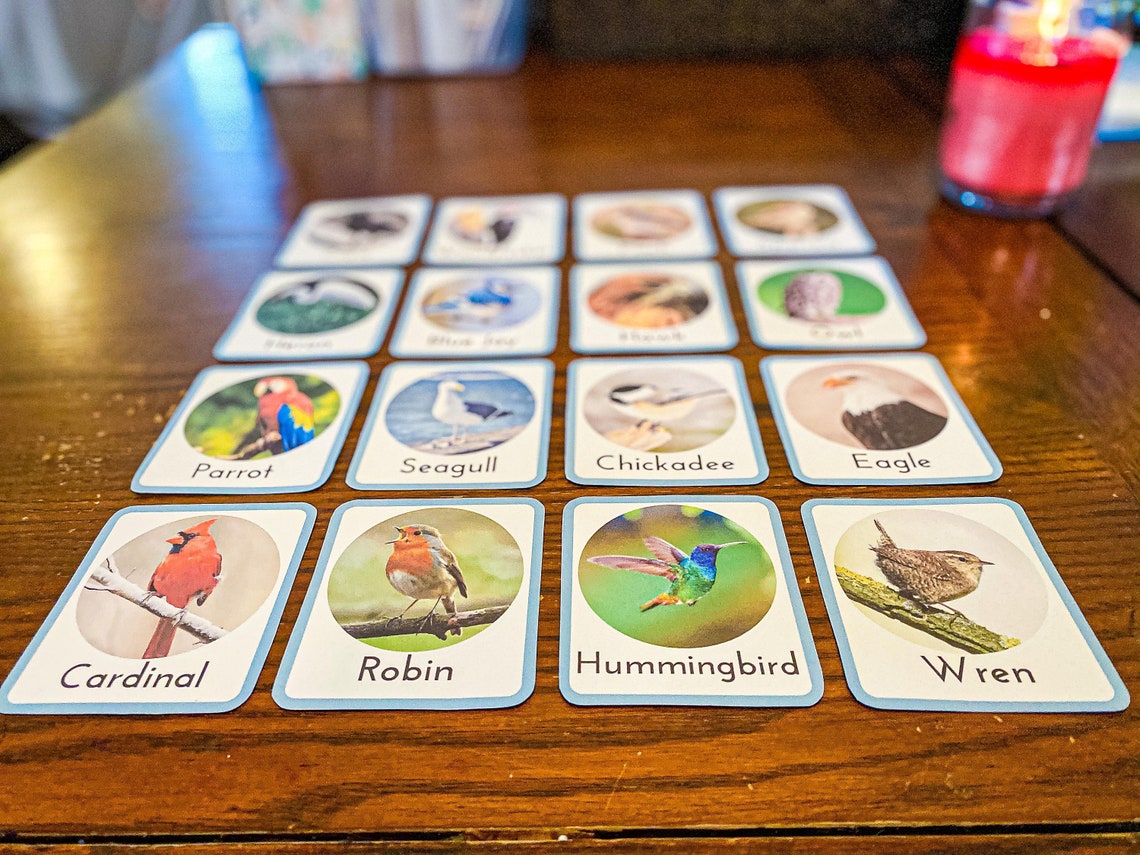 Realistic Montessori Bird Flashcards for Toddlers and | Etsy