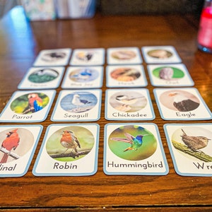 Realistic Montessori Bird Flashcards for Toddlers and Preschoolers ...