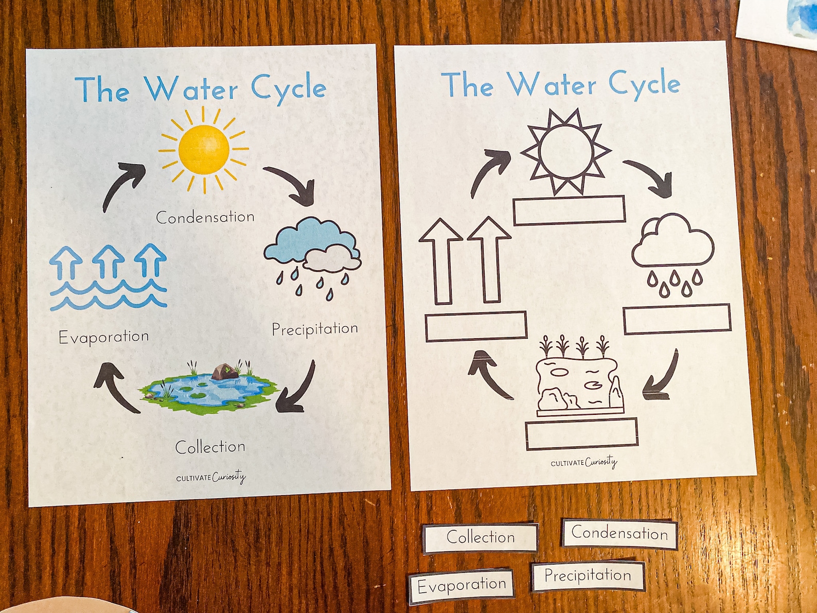 Water Cycle Worksheet Set | Homeschool Printable Science Worksheet for ...