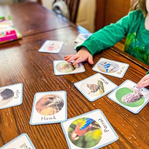 Realistic Montessori Bird Flashcards for Toddlers and Preschoolers ...