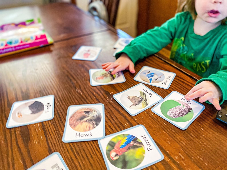 Realistic Montessori Bird Flashcards for Toddlers and | Etsy