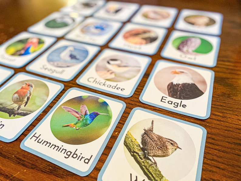 Realistic Montessori Bird Flashcards for Toddlers and Preschoolers ...