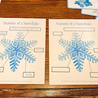 Snow Unit Study & Snowflakes Printable Bundle Winter Homeschool ...