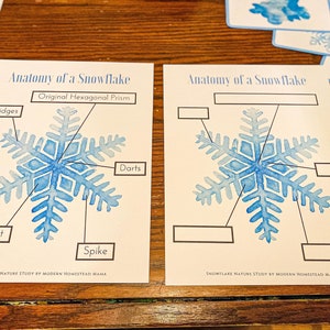 Anatomy of a Snowflake | Mini Snowflake Winter Homeschool Study for Pre ...