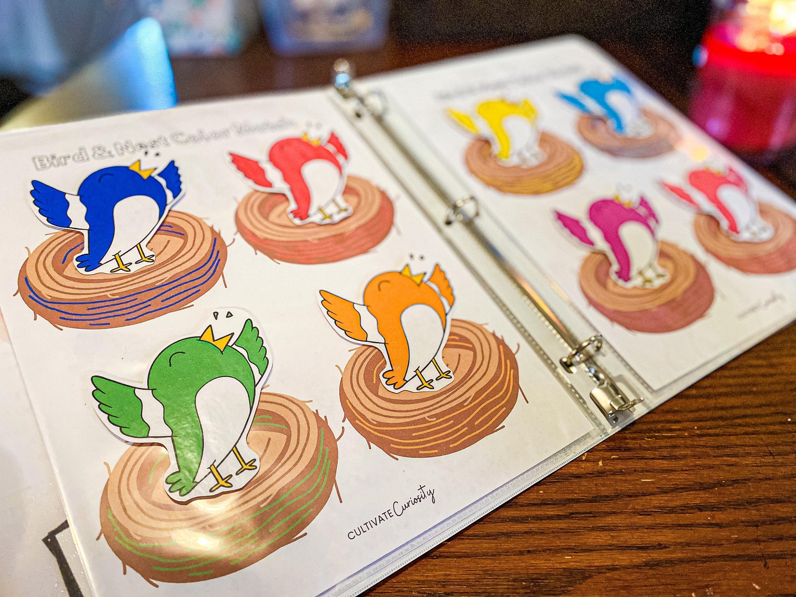 Bird to Nest Color Recognition Matching Worksheet Set | Toddler ...