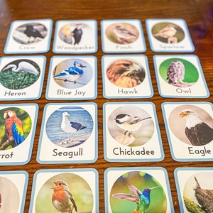 Realistic Montessori Bird Flashcards for Toddlers and Preschoolers ...