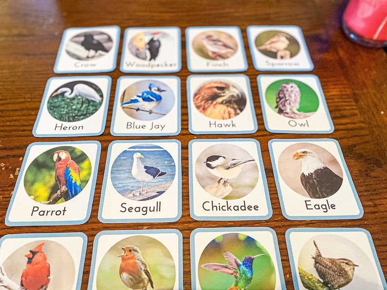 Realistic Montessori Bird Flashcards for Toddlers and Preschoolers ...
