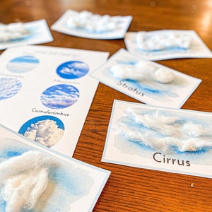 Cotton Ball Cloud Type Cards | Homeschool Science Weather Cloud ...