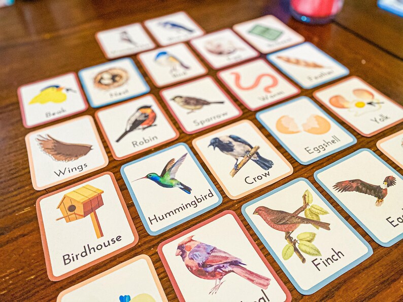 Bird Flashcards for Preschoolers | Bird Theme Pre-k Homeschool Unit ...