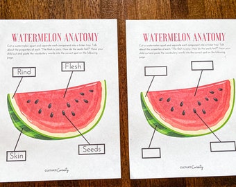 Human Eyeball Anatomy Coloring Page LABELED Digital Download - Etsy