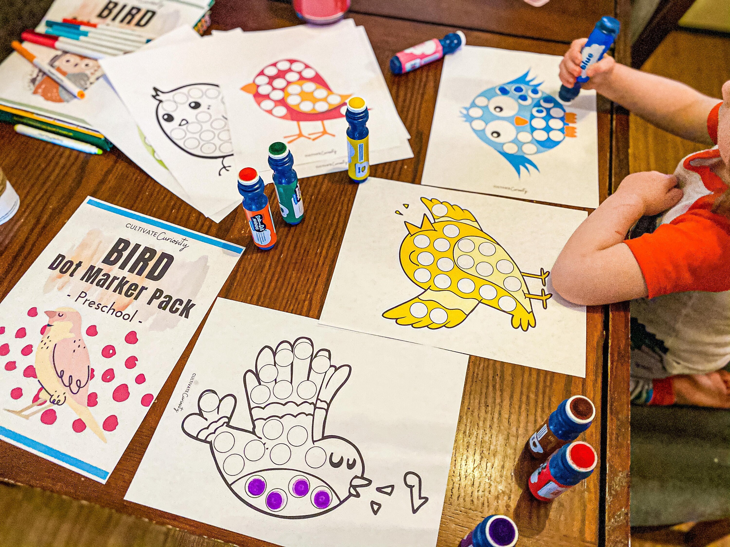 Bird Dot Marker Pack Printable Bird Theme Homeschool Packet for ...