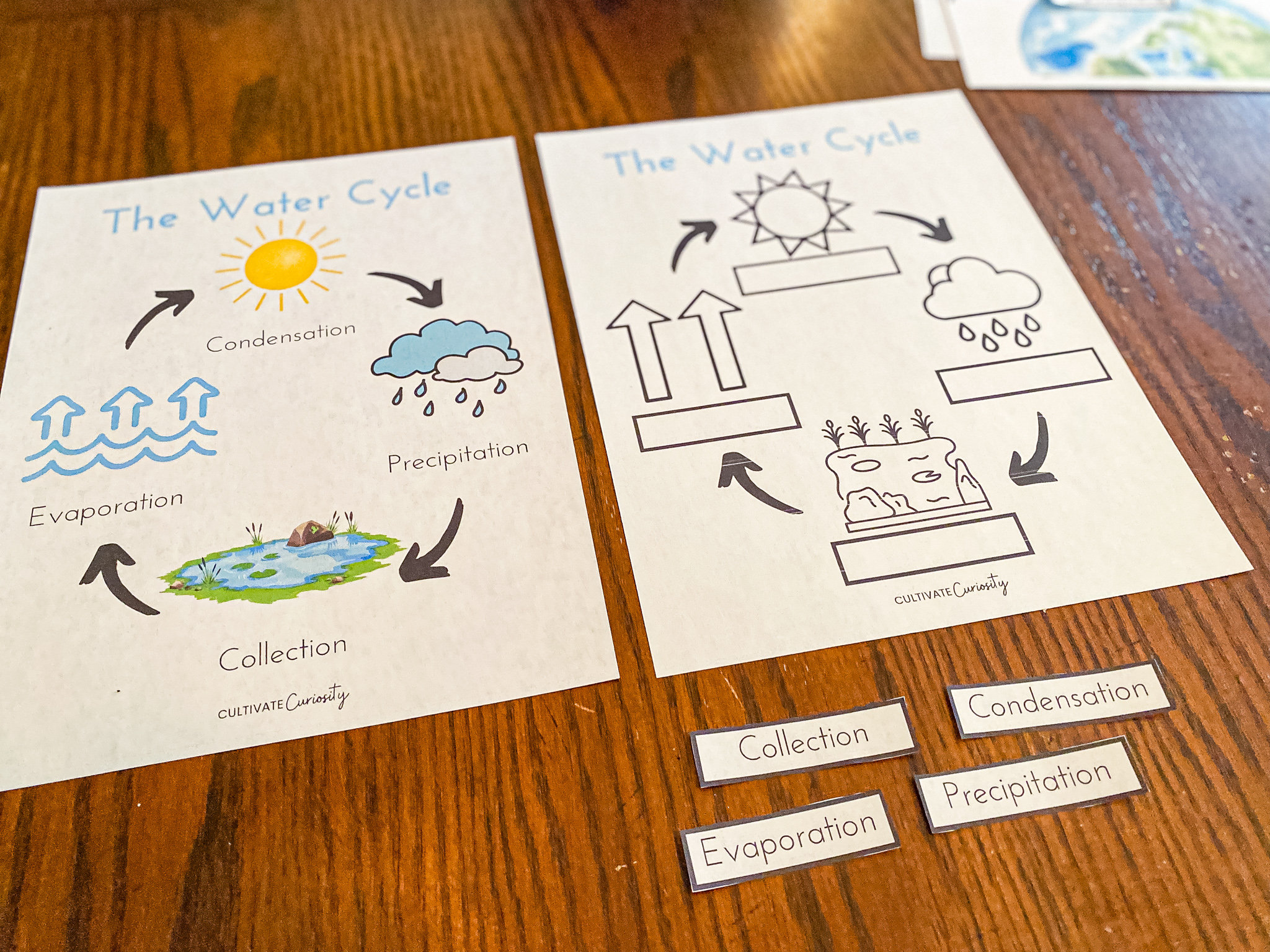 Water Cycle Worksheet Set | Homeschool Printable Science Worksheet for ...