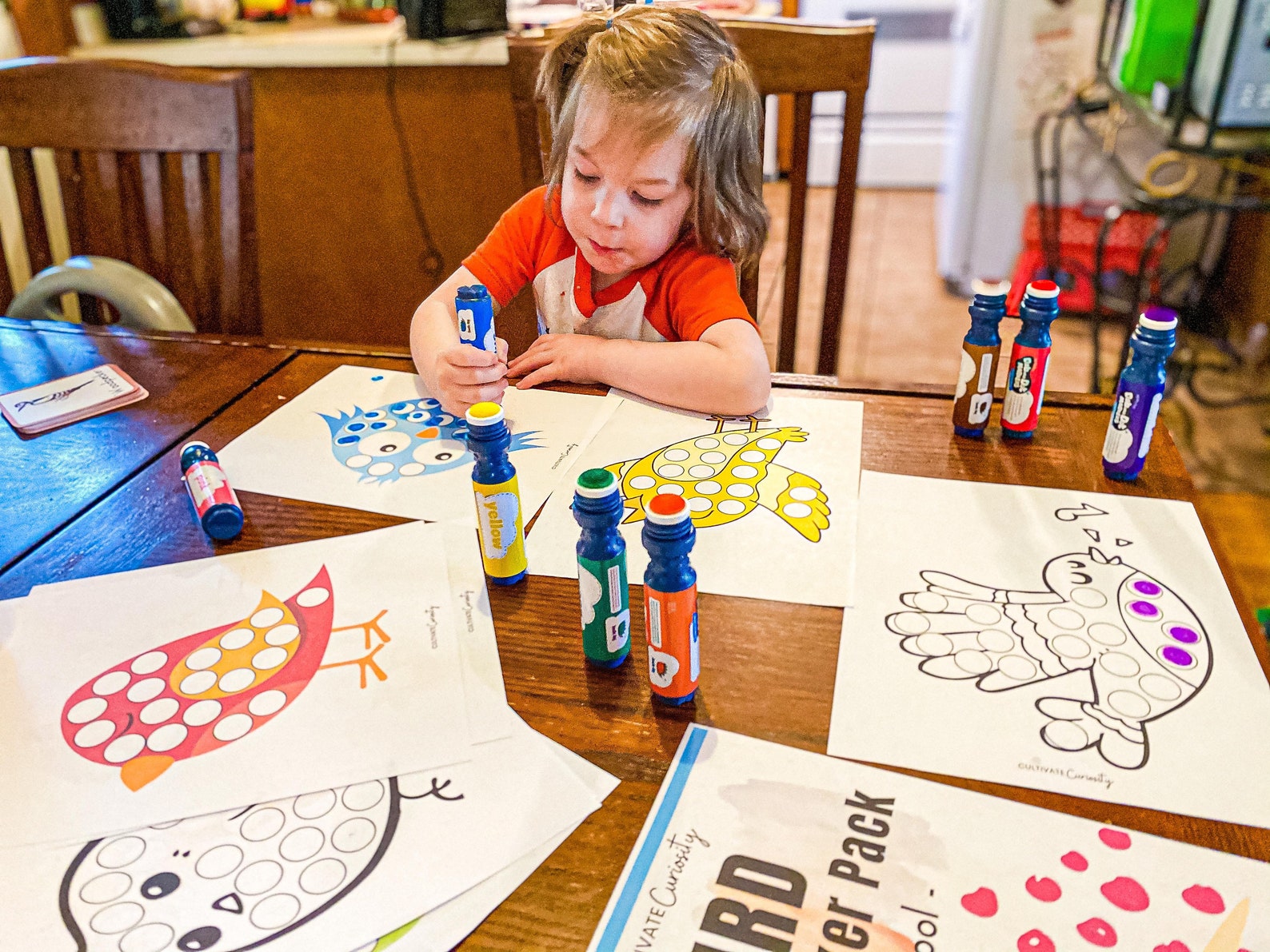 Bird Dot Marker Pack Printable Bird Theme Homeschool Packet for ...