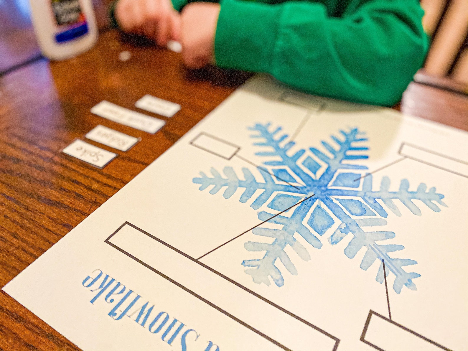 Anatomy of a Snowflake | Mini Snowflake Winter Homeschool Study for Pre ...
