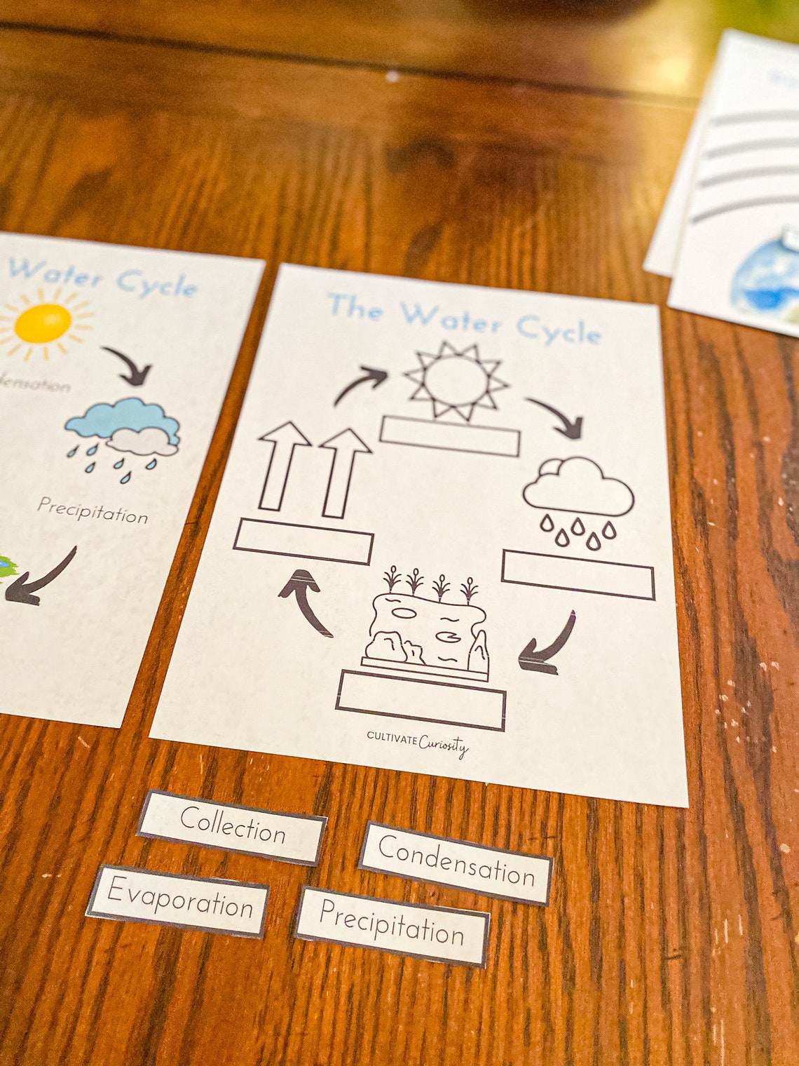 Water Cycle Worksheet Set Homeschool Printable Science Worksheet for ...