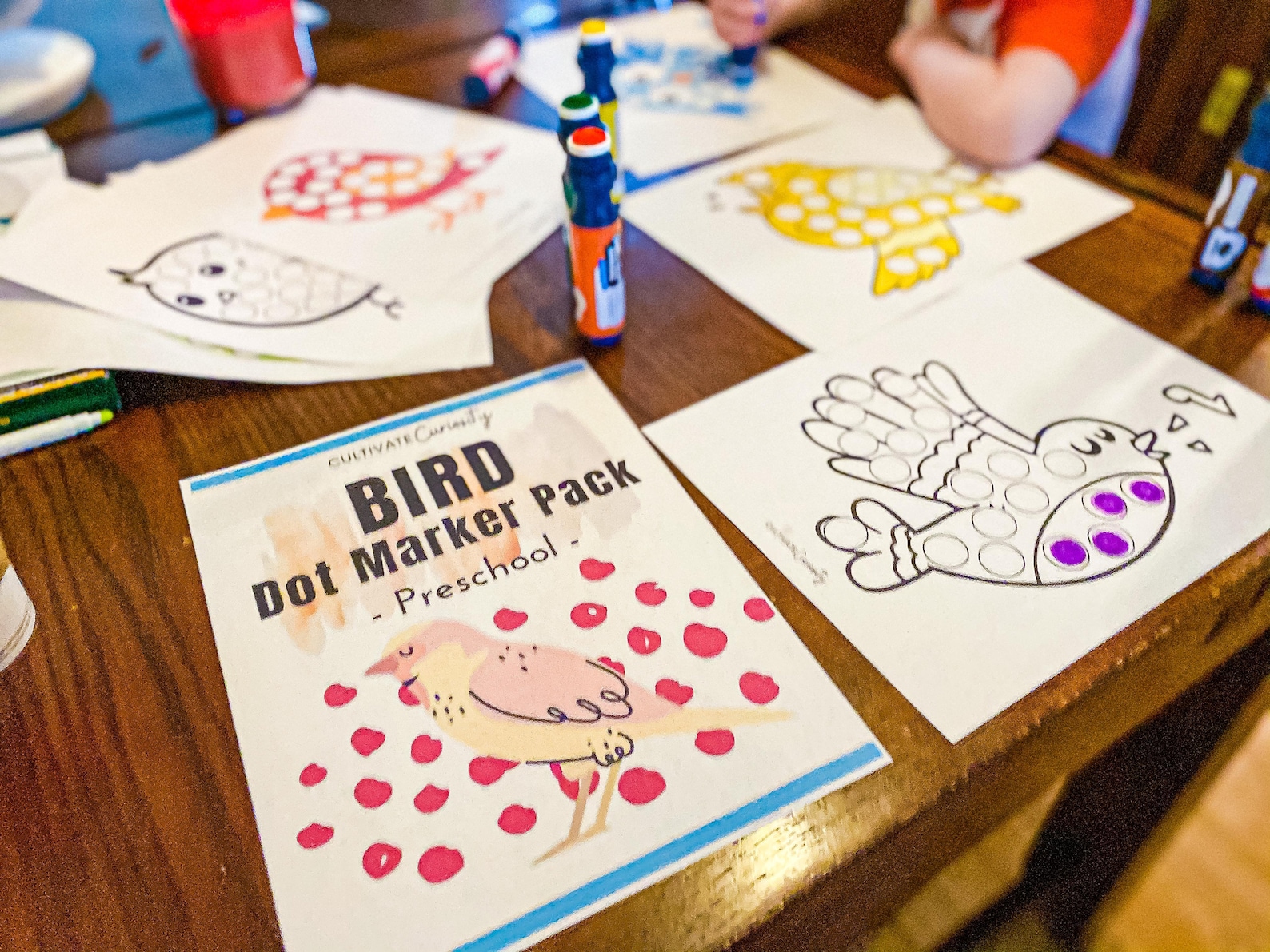 Bird Dot Marker Pack Printable Bird Theme Homeschool Packet for ...
