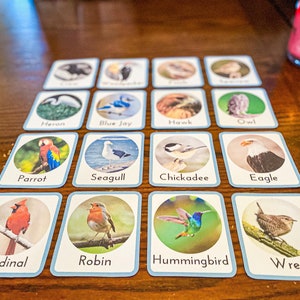 Realistic Montessori Bird Flashcards for Toddlers and Preschoolers ...