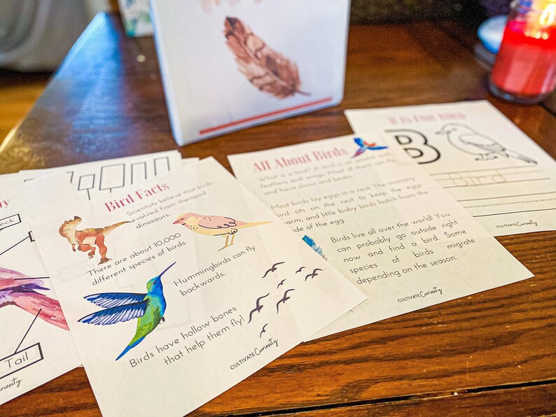 Bird Nature Study Printable Pack for Homeschoolers | Learning About ...