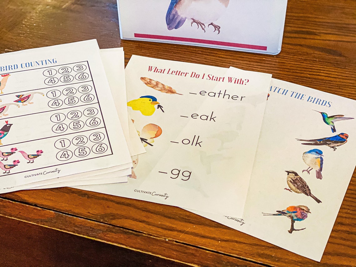 Bird Pre-k Workbook Homeschool Printable Bundle Pack of Bird Worksheets ...