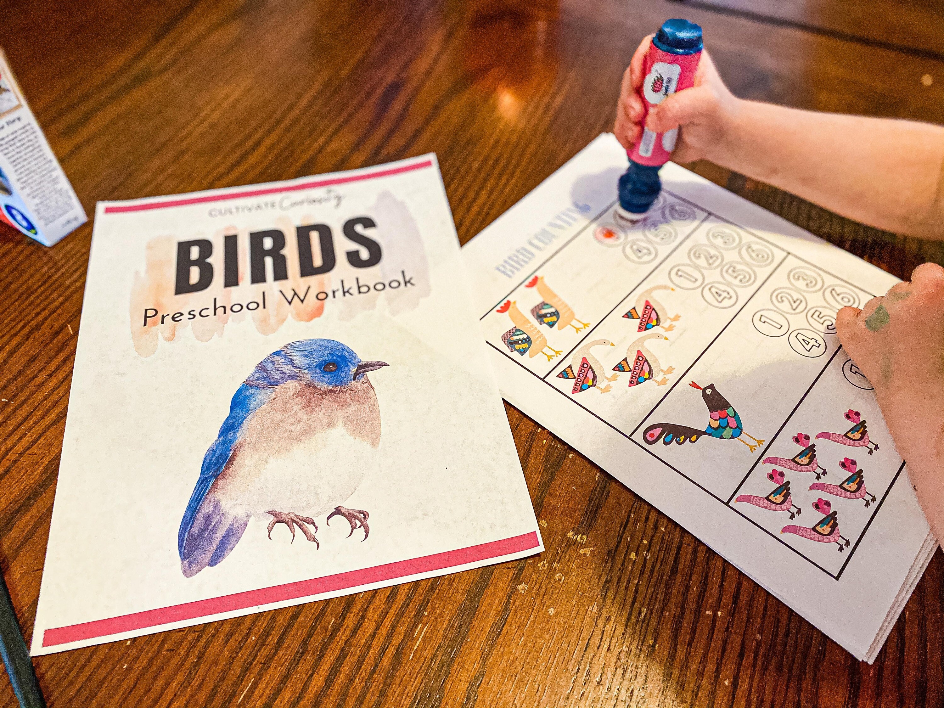 Bird Preschool Unit Montessori & Waldorf Inspired, Play-based, Gentle ...