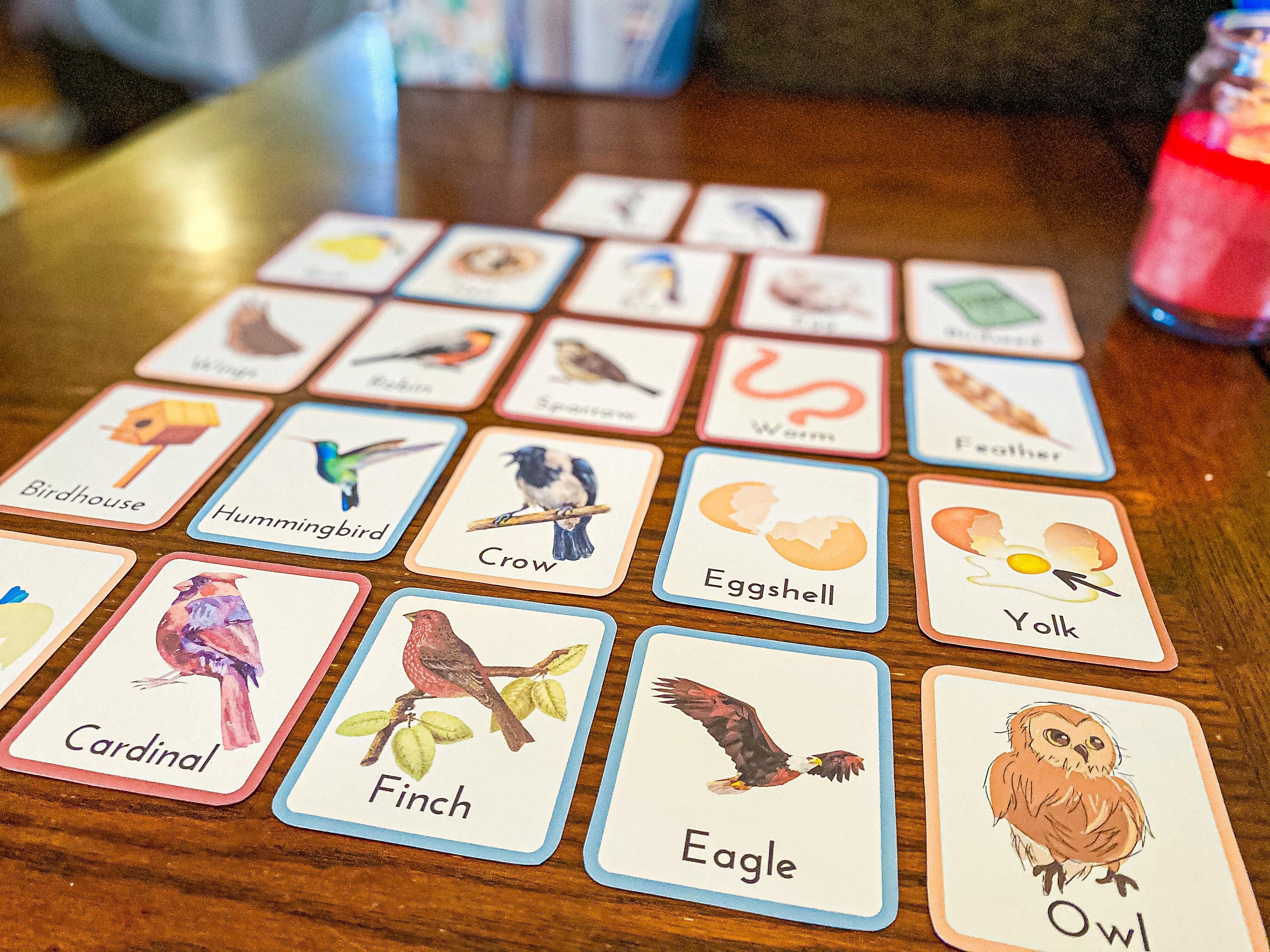 Bird Flashcards for Preschoolers | Bird Theme Pre-k Homeschool Unit ...
