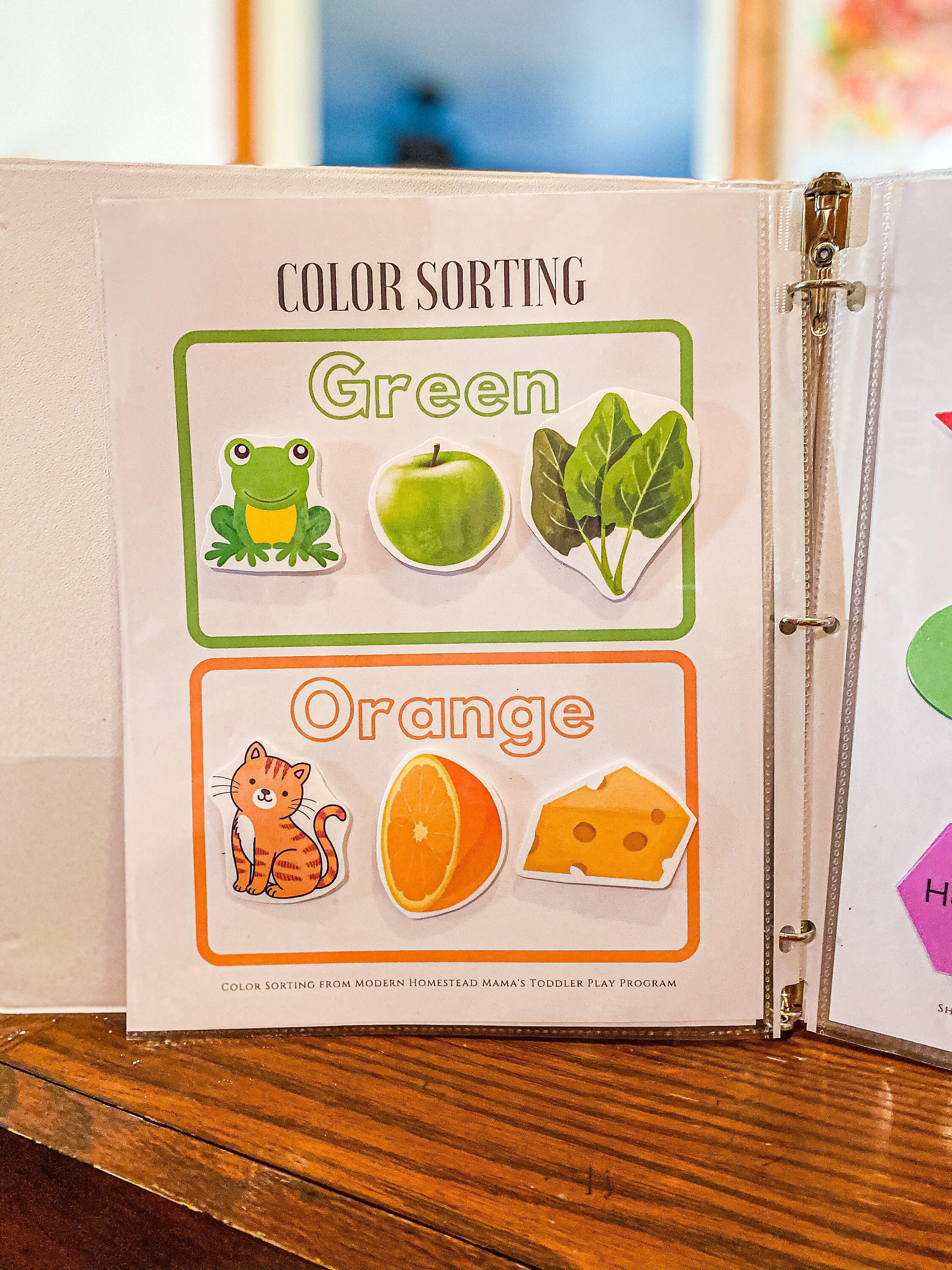 Color Sorting Worksheet Set for Toddlers Printable | Printable Busy ...