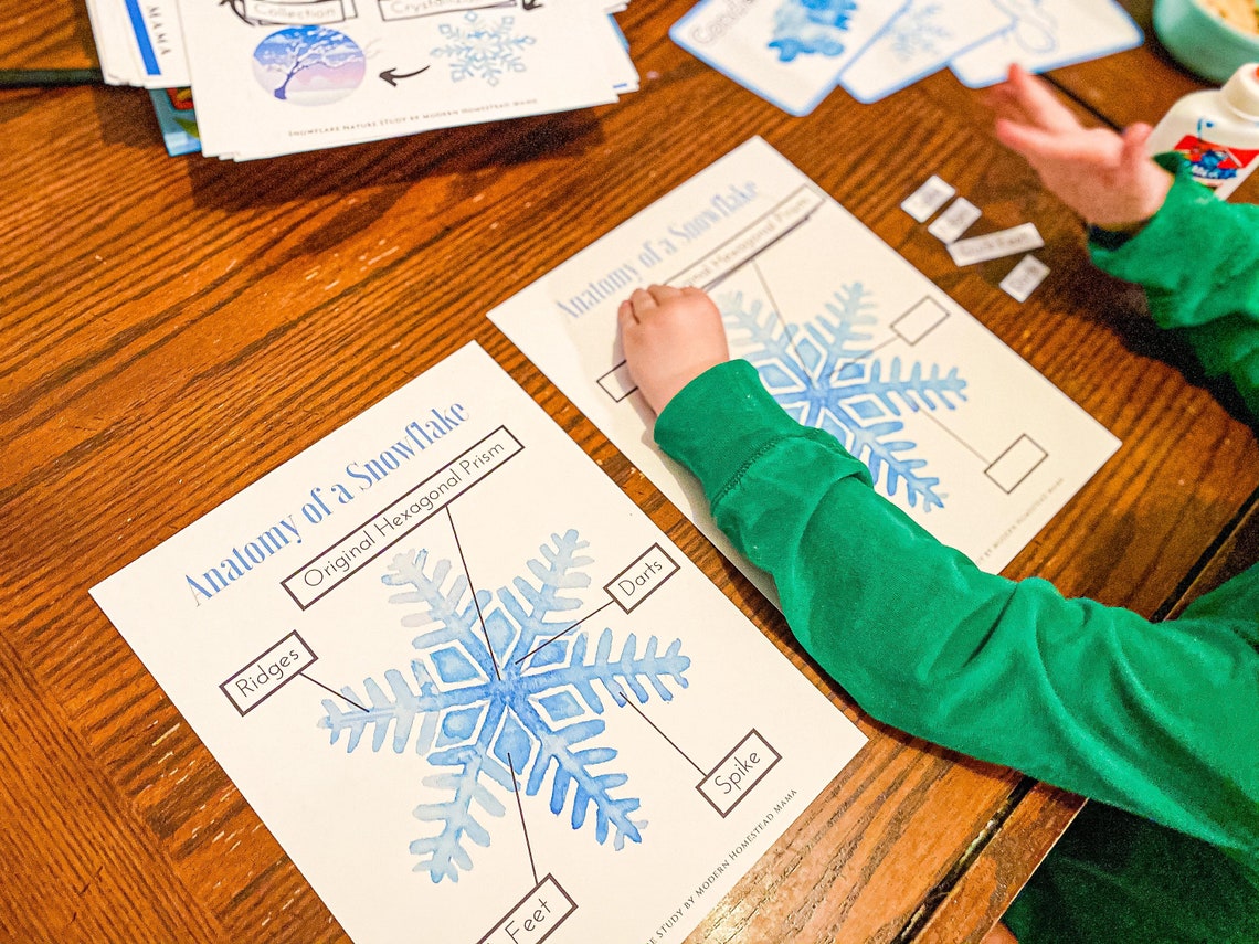 Anatomy of a Snowflake | Mini Snowflake Winter Homeschool Study for Pre ...
