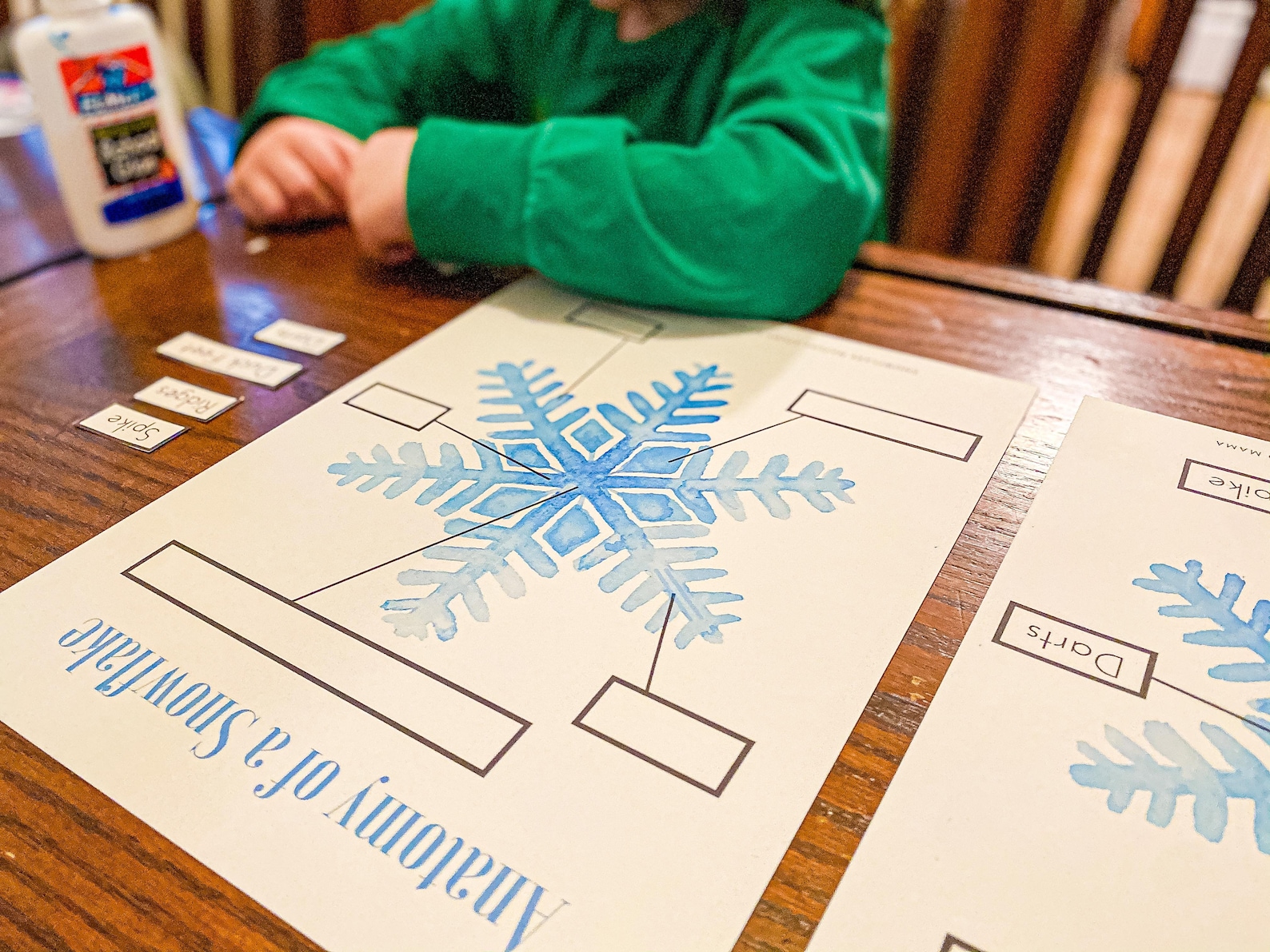 Anatomy of a Snowflake | Mini Snowflake Winter Homeschool Study for Pre ...