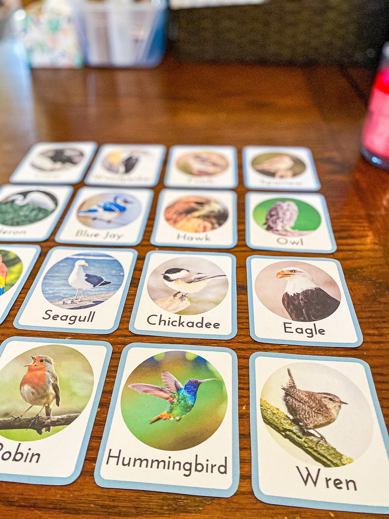 Realistic Montessori Bird Flashcards for Toddlers and | Etsy