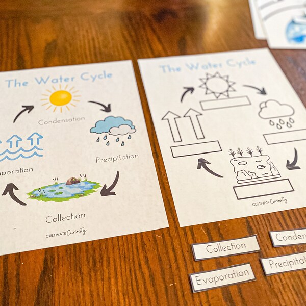 Water Cycle Worksheet - Etsy