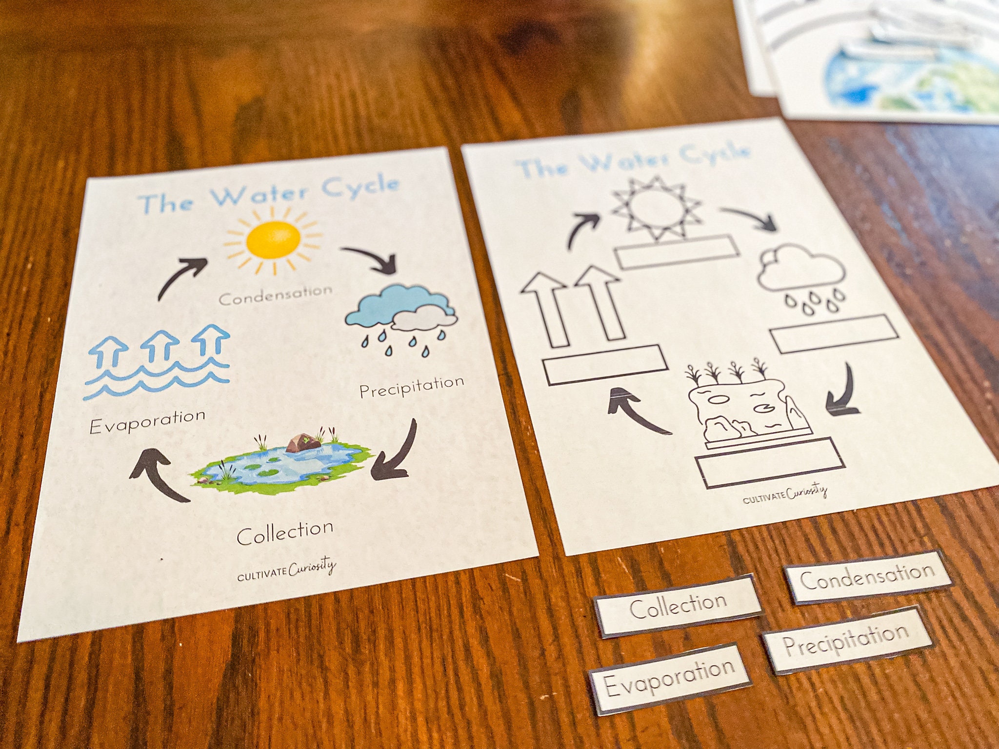 Water Cycle Worksheet Set | Homeschool Printable Science Worksheet for ...
