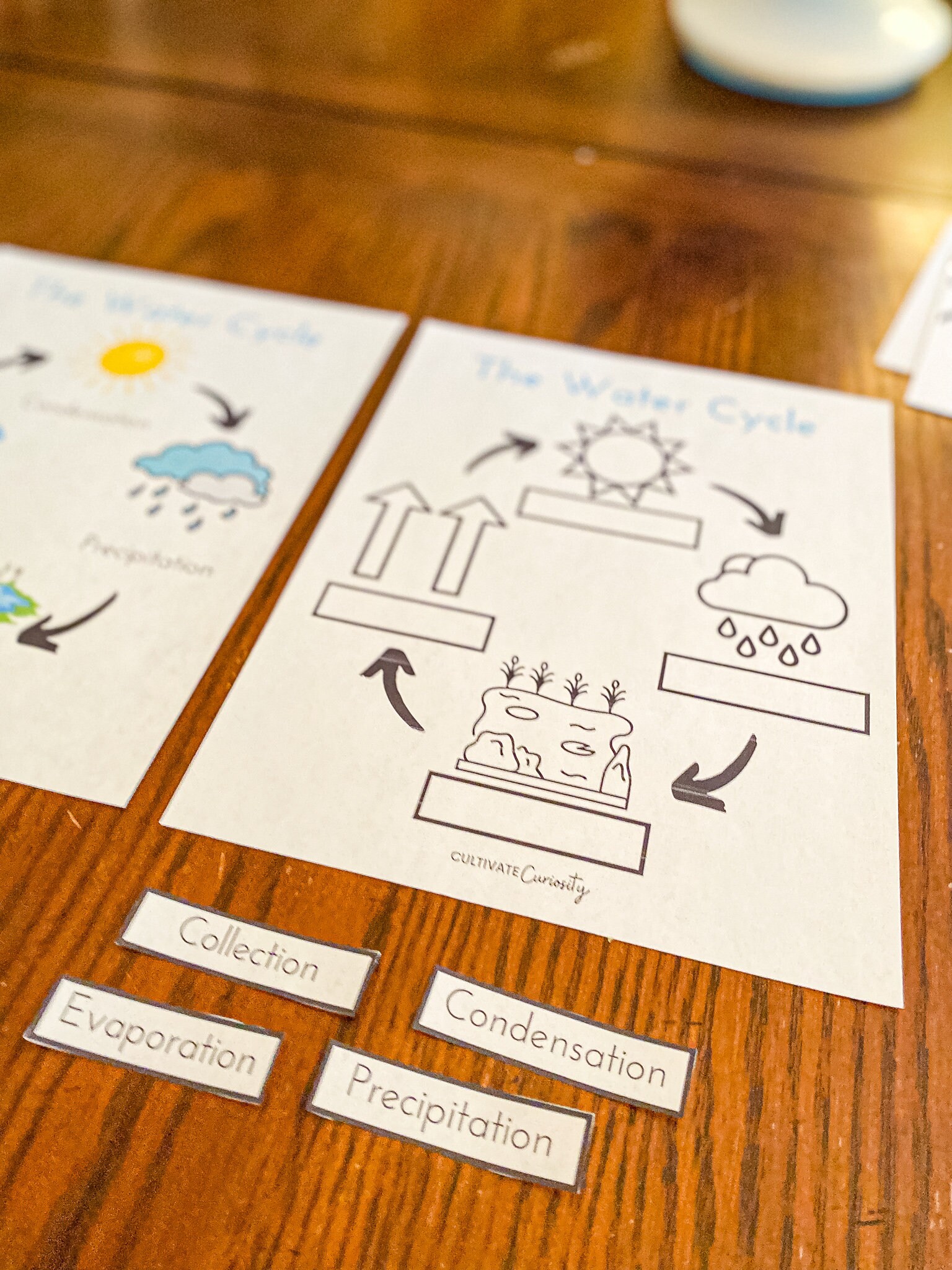 Water Cycle Worksheet Set | Homeschool Printable Science Worksheet for ...