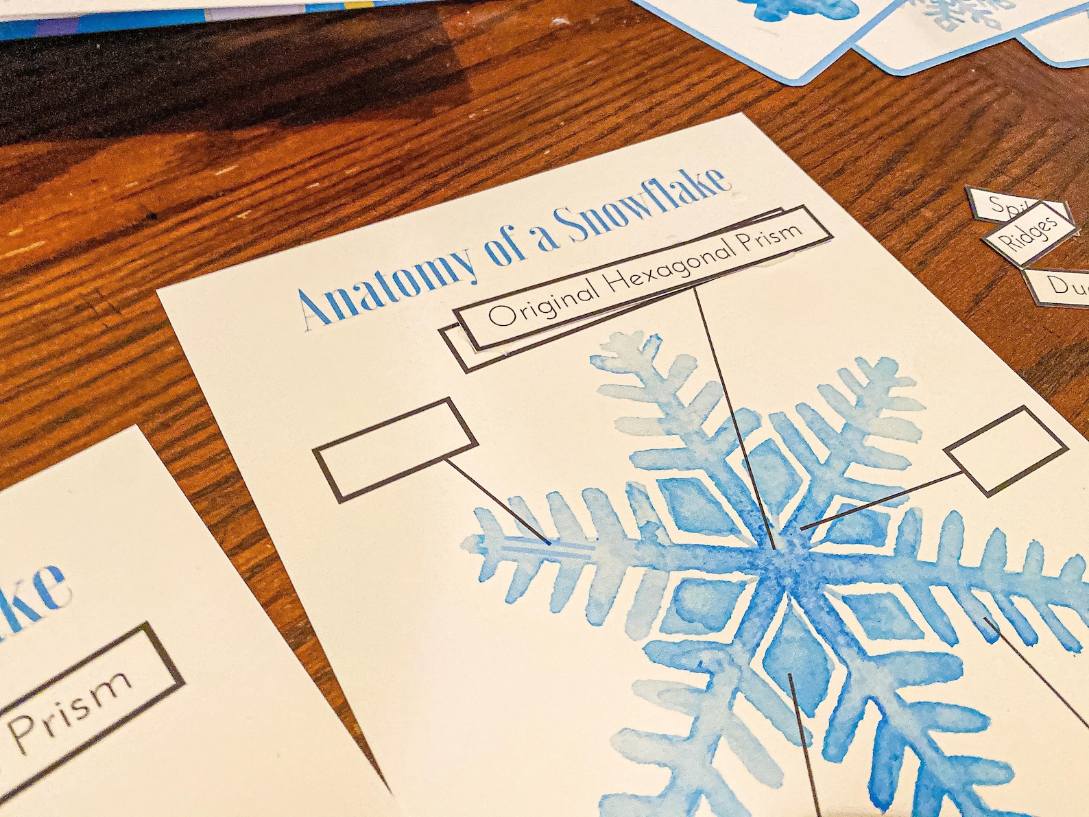 Anatomy of a Snowflake | Mini Snowflake Winter Homeschool Study for Pre ...