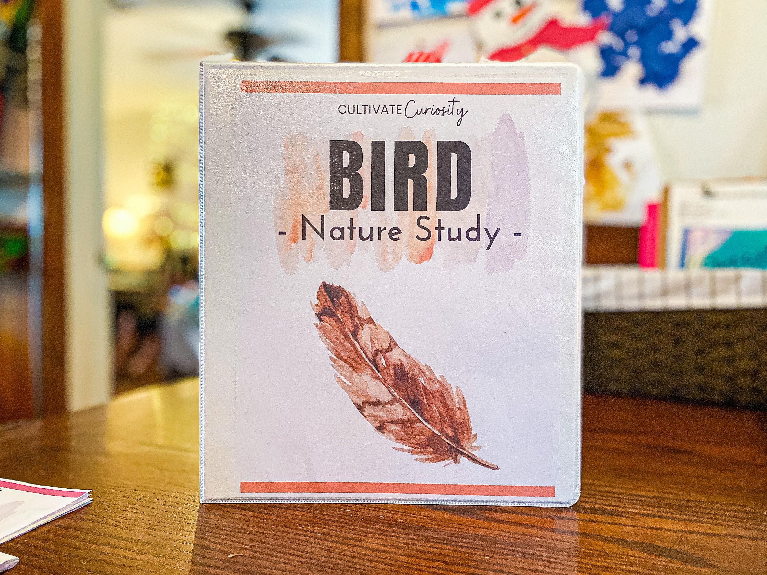 Bird Nature Study Printable Pack for Homeschoolers | Learning About ...