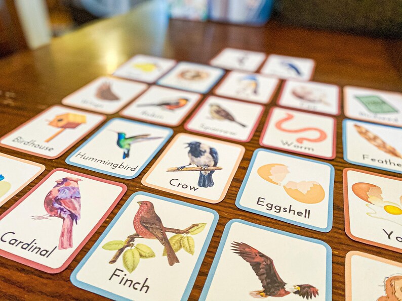 Bird Flashcards for Preschoolers | Bird Theme Pre-k Homeschool Unit ...